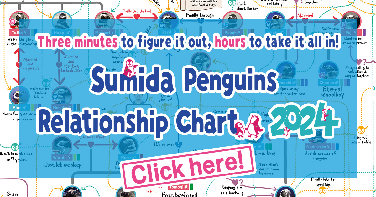 Sumida Penguins Relationship Chart 2024｜Sumida Aquarium